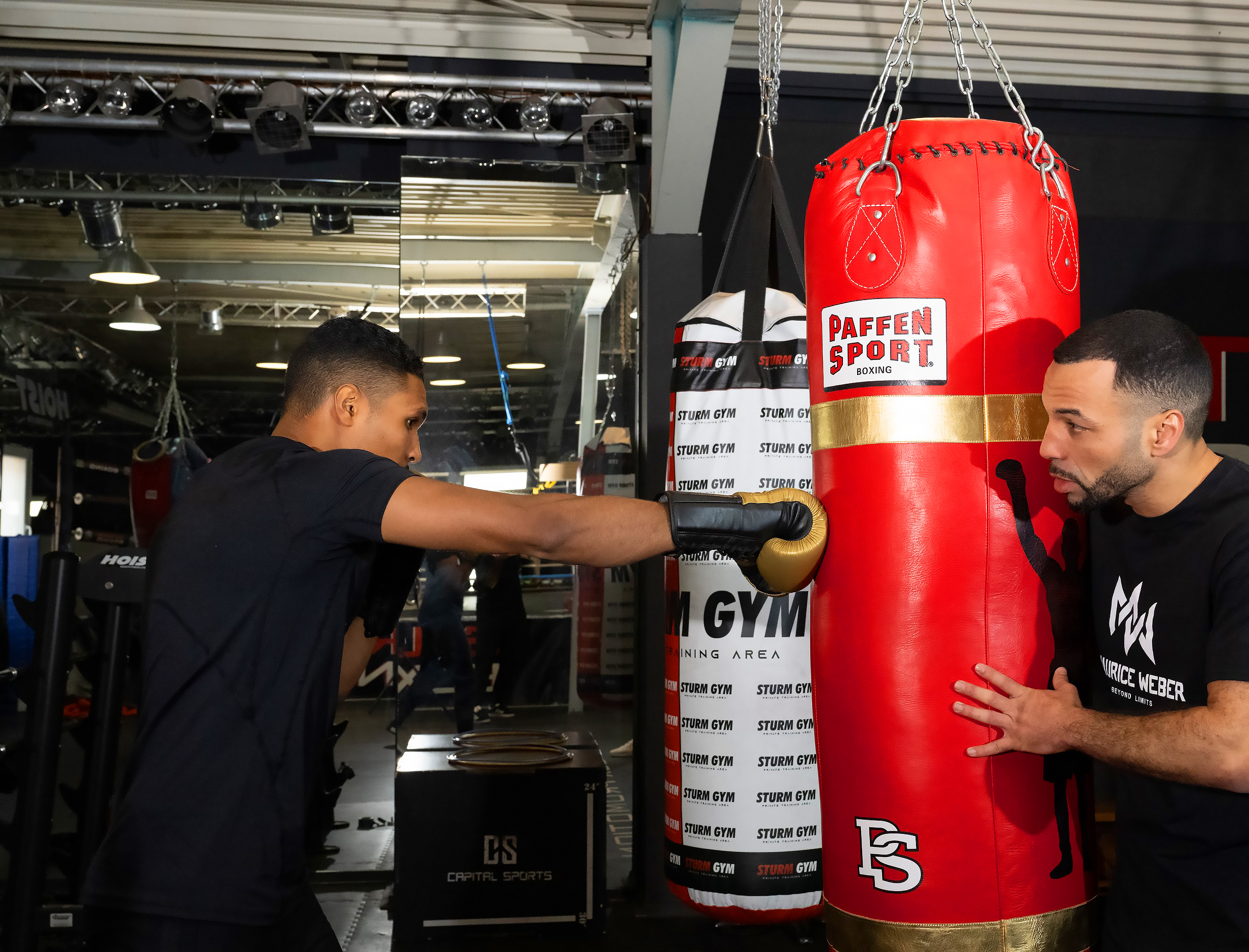 Mo-Weber – Die offizielle Seite von Maurice Weber